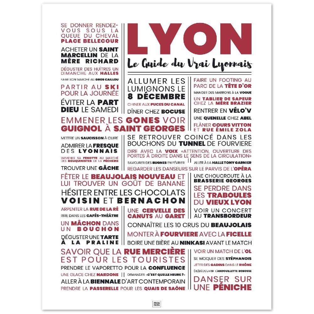 Affiche Lyon - Le guide du Vrai Lyonnais