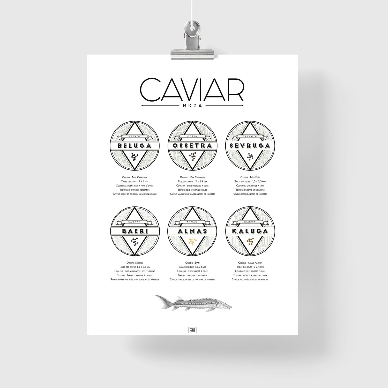 Affiche Caviar : le guide du caviar